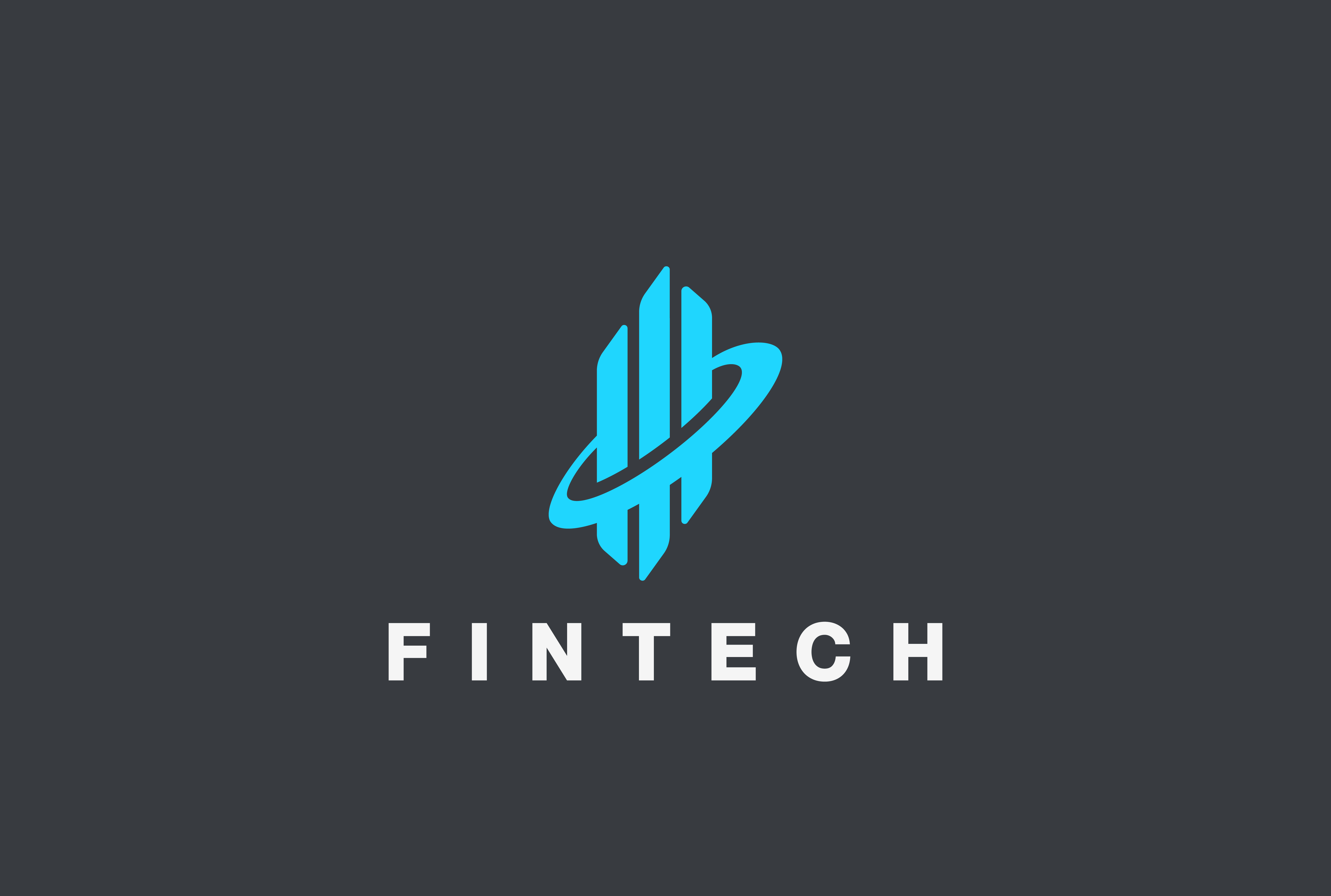 The coming of age of scaled fintechs - CTMfile